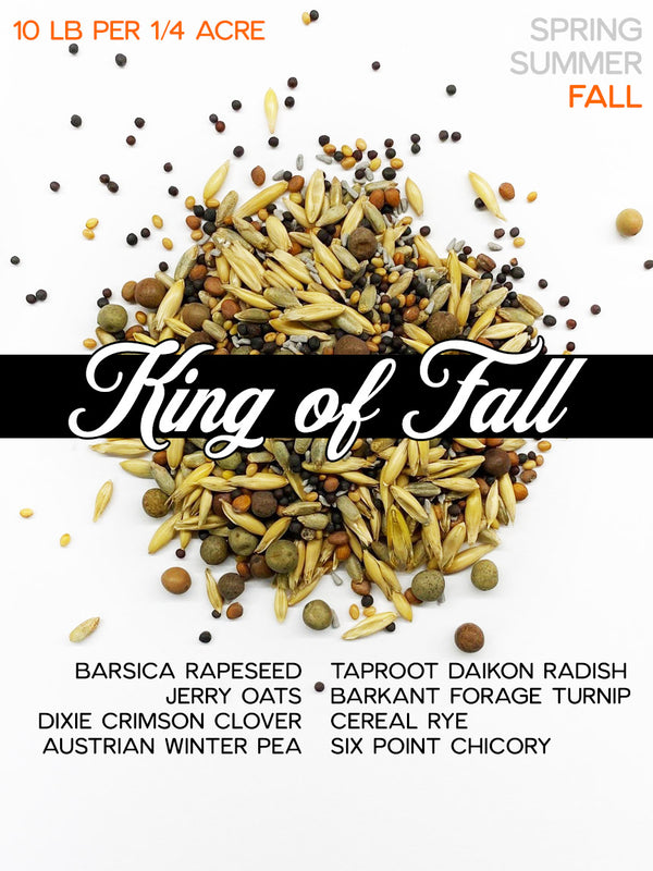 King of Fall – BlackjackWildlife