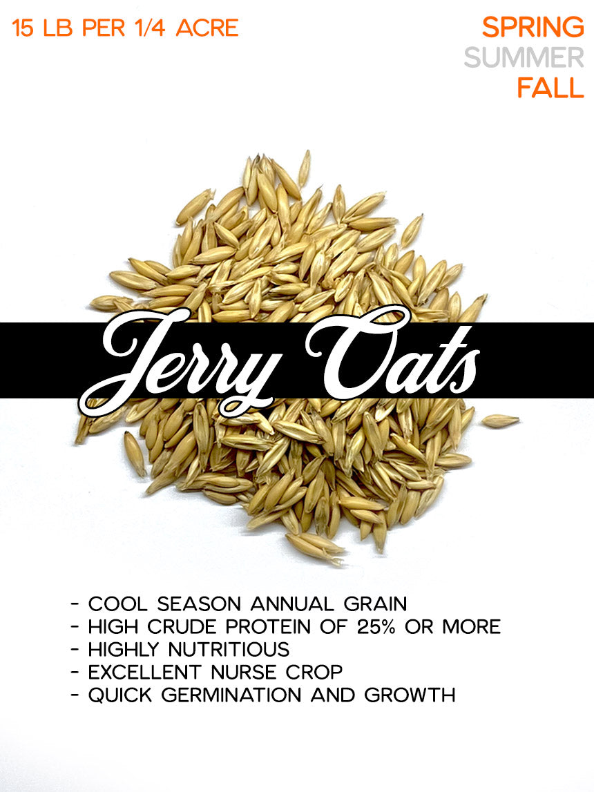 Blackjack Wildlife Seed – BlackjackWildlife